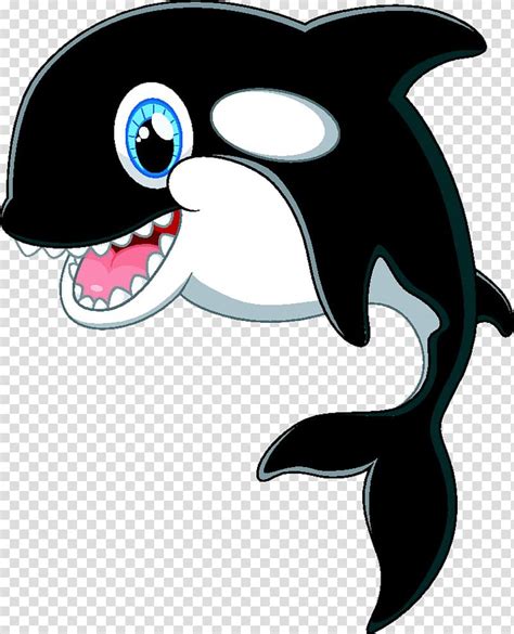 Orca Whale Clipart