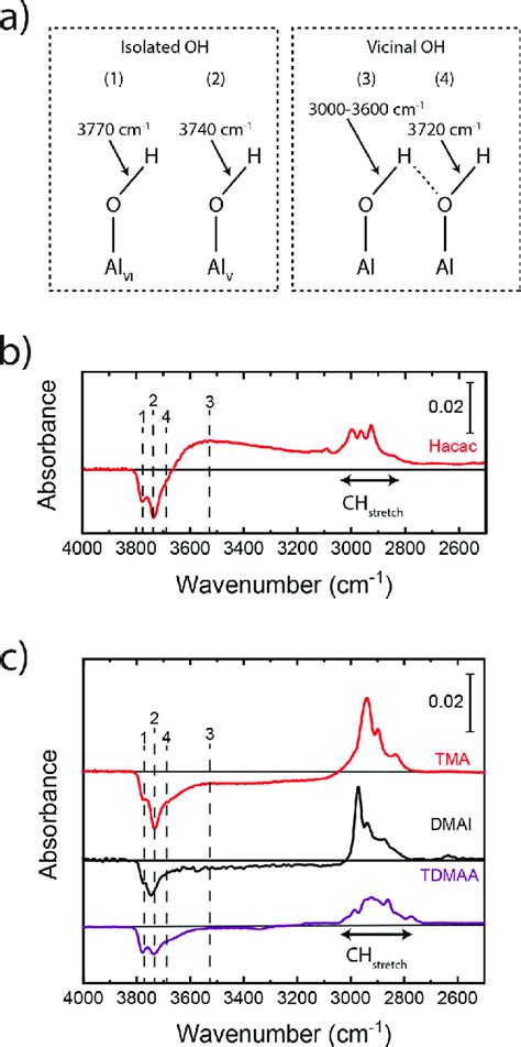A Schematic Illustrations Of Isolated And Vicinal Hydroxyl Surface Download Scientific