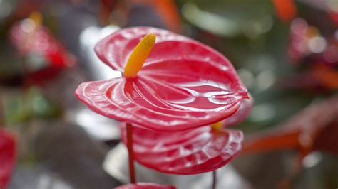 Stolk Brothers Quickworks