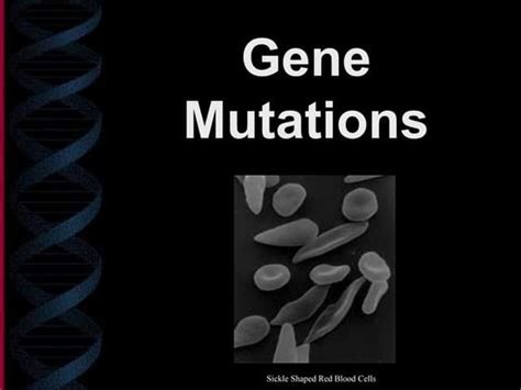 Gene Mutations Ppt Ppt Infertility Reproductive Health