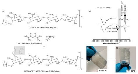 A Schematic Illustration Of The Methacrylation Reaction Between Low