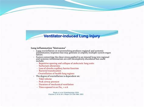 Lung Protective Ventilation Pptx