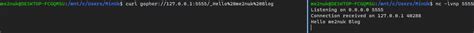 Ssrf Gopher Protocol을 이용하여 Mysql 주입ssrf Through Gopher Me2nuk