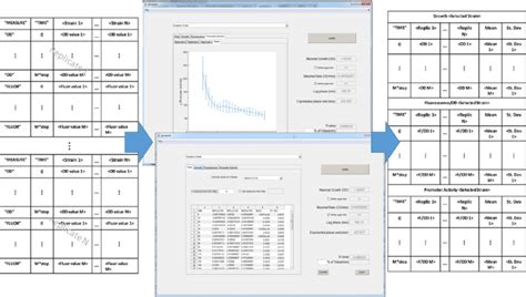 Inputoutput File Formats And A General Illustration Of The Tool