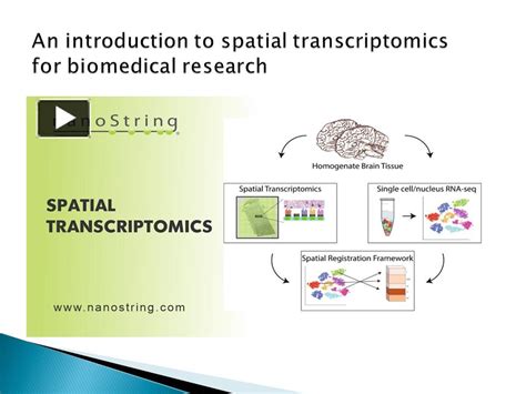 An Introduction To Spatial Transcriptomics For Biomedical Research