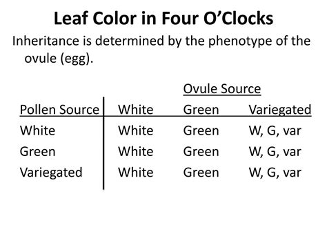 Extranuclear Inheritance Pptx