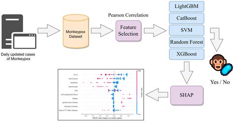 几行代码发一区！shap可解释分析，调包即用！ shap iq unified approximation of any order