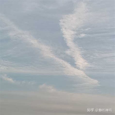 你的副驾驶会是谁的专座？ 知乎