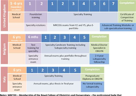 Figure 1 From Exploring The Scope Of Practice And Training Of Obstetricians And Gynaecologists