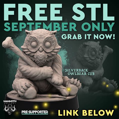 Mammoth Interactive From Beginner To Expert Is To Worth It Rlearnpython