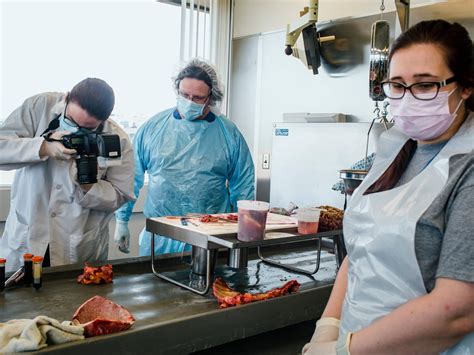 Forensic Pathologist Autopsy