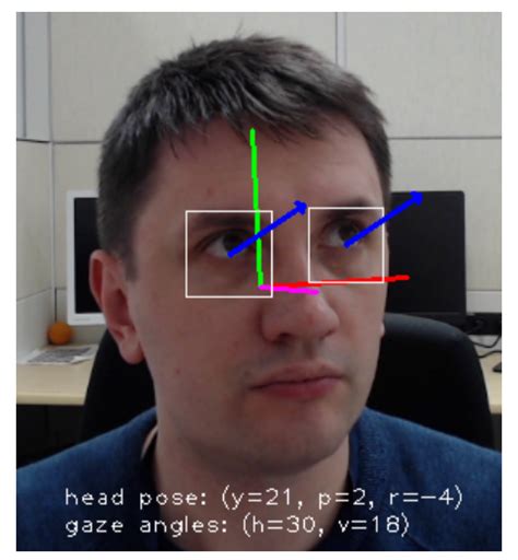 Coordinate Space Of The Head Pose Estimate In Head Pose Estimation Adas