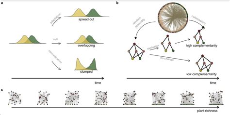 The Effect Of Biodiversity On Ecosystem Functioning Can Be Stronger When Different Species Of