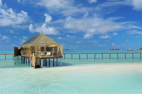 Centara Grand Island Tourism (2024): All You Need to Know Before You Go