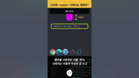 Css에 Webkit 어쩌고 몇 줄씩 있는 코드들은 뭘까 Youtube