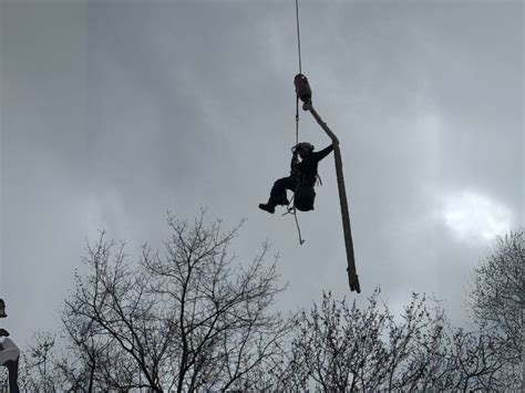 Tree Removal Services In NH MA Tip Top Tree Service