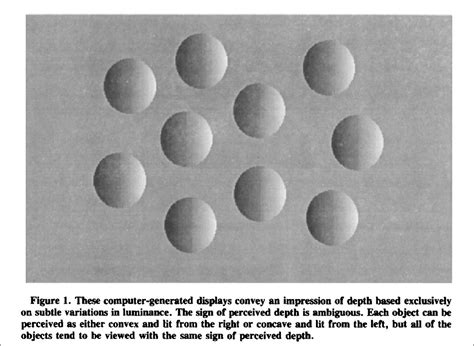 A Dedicated Loss Function For Neural Face Training Metaphysic Ai