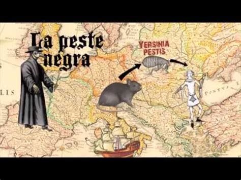 La Peste Negra En La Baja Edad Media Fund Teóricos Y Metod De La