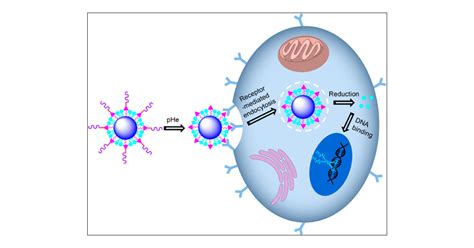 Dual Responsive Carbon Dots For Tumor Extracellular Microenvironment