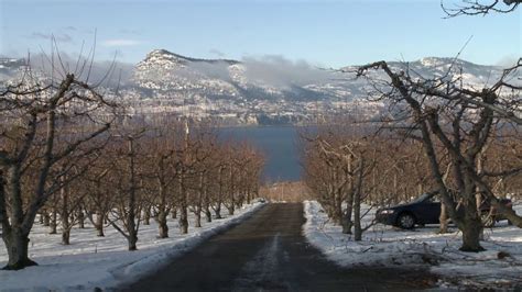 Voran Cider Processing Equipment Brew Insight