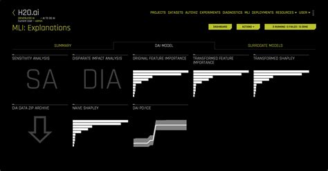 Machine Learning Interpretability