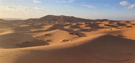 모로코 사하라사막을 향하여 낙타투어 아프리카 대장정 지구여행학교