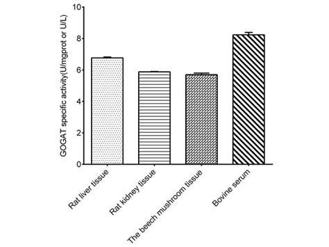 Glutamate Synthase Gogat Activity Assay Kit Mse Supplies Llc