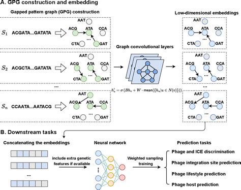 Table 1 From A Graph Representation Of Gapped Patterns In Phage Sequences For Graph