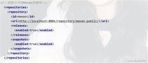 从零开始：nexus私服搭建与maven仓库配置的完全指南nexus搭建 Csdn博客