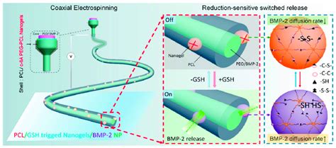 Schematic Illustration Of The Fabrication Of A Nanogel In Nanofiber Download Scientific Diagram
