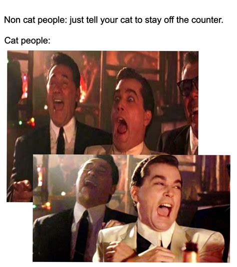Non Cat People Vs Cat People Cat Counter Meme Gagbase Ai Powered Meme