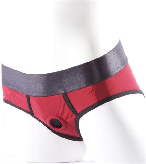 Celebrate Pride Month With These LGBTQ Sex Toys SheKnows