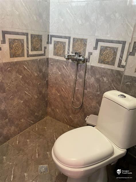 ჰოლიდეი გონიო Georgian Travel Guide