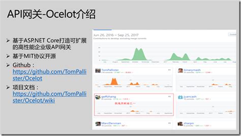 Ocelot Api网关的实现剖析 Net Core 微服务 Net Core 开源微服务 套件 工具包 Csharpkit