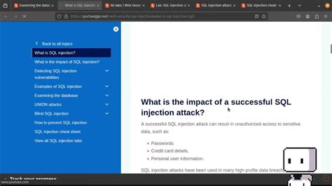 Indo Portswigger Wsa Sql Injection Attack Querying The Database Type And Version On Mysql