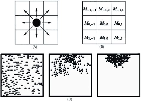 an example of a cellular automata model with transition matrix [54] download scientific
