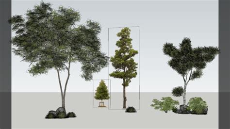 Tree 2d3d 3d Warehouse Indoor Trees Japanese Tree Asian Landscape