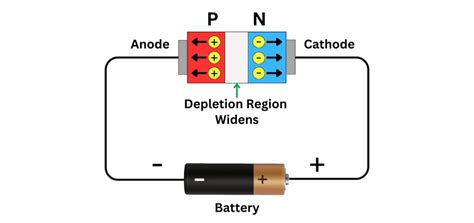 Diode Anode Cathode Unlocking The Power Of Semiconductor Junctions