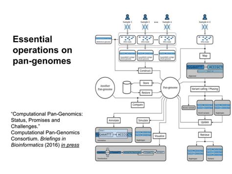 Variation Reference Graphs And The Variation Graph Toolkit Vg Ppt
