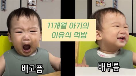 육아vlog 밥을 사랑하는 11개월 아기의 이유식 먹방 시판이유식 Youtube