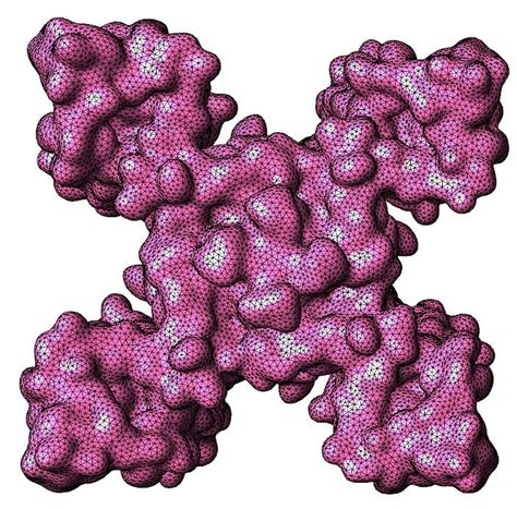 Protein Database Downloader Grasshopper Generative Design Creature