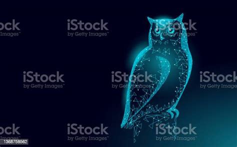 현명한 교육의 올빼미 조류 기호 E러닝 거리 개념 대학원 인증서 프로그램 개념 낮은 폴리 3d 인터넷 교육 과정 벡터 일러스트레이션 올빼미류에 대한 스톡 벡터 아트 및 기타