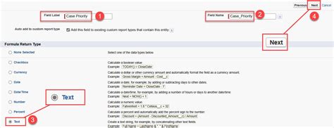 Case Function In Salesforce