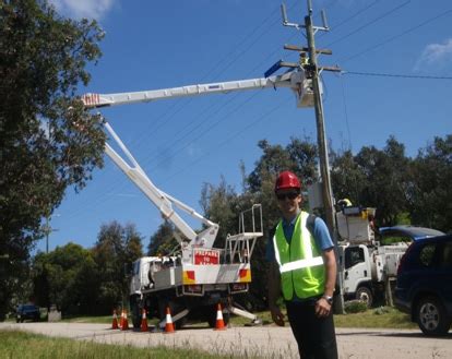 Electric Fish Inspire Power Line Fault Detection System