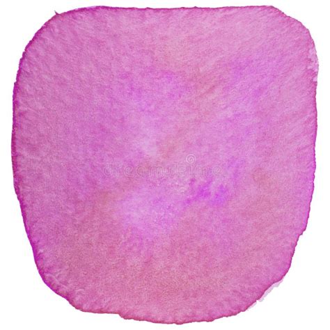 watercolor texture circle shape elements stock image image of drawing