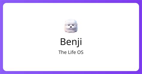 Benji Arrfounder