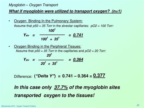 PPT Oxygen Transport Proteins Myoglobin Hemoglobin PowerPoint Presentation ID 3259967