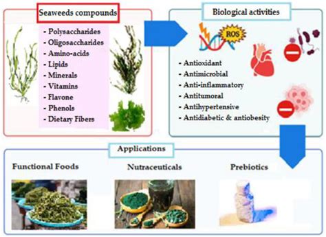 Biocompounds From Green Algae Of Romanian Black Sea Coast As Potential