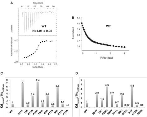 DNA Binding At C A ITC Thermodynamic Profile Obtained For The Download Scientific Diagram