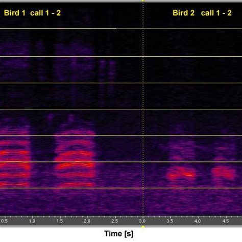 Spectrogram Of The Eight Vocalizations Of Bird 2 In A Row Time Scale